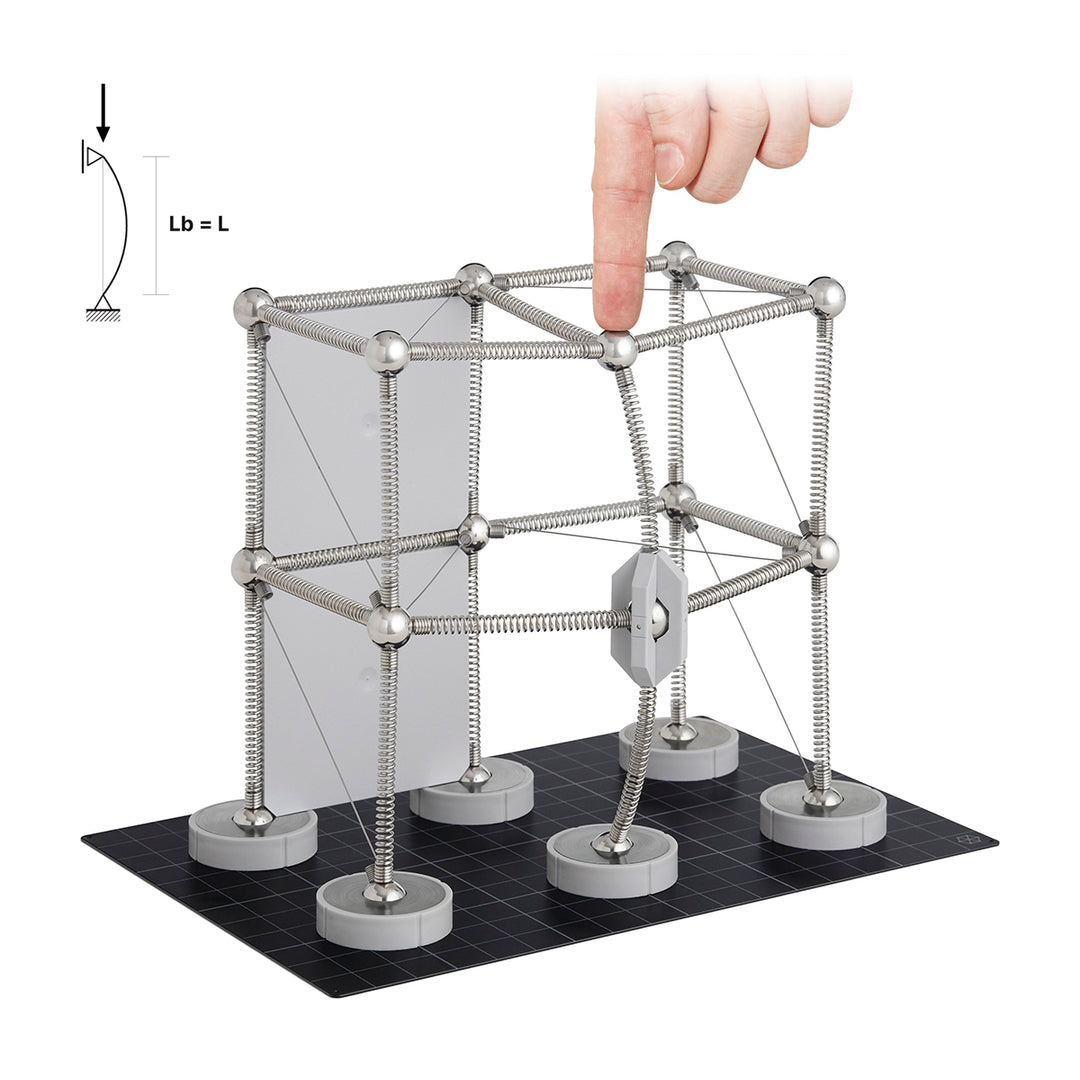 Mola - Learners – molamodel-us
