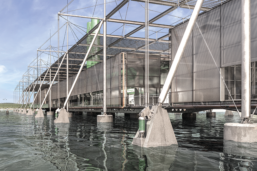 Mola - Learners – molamodel-us